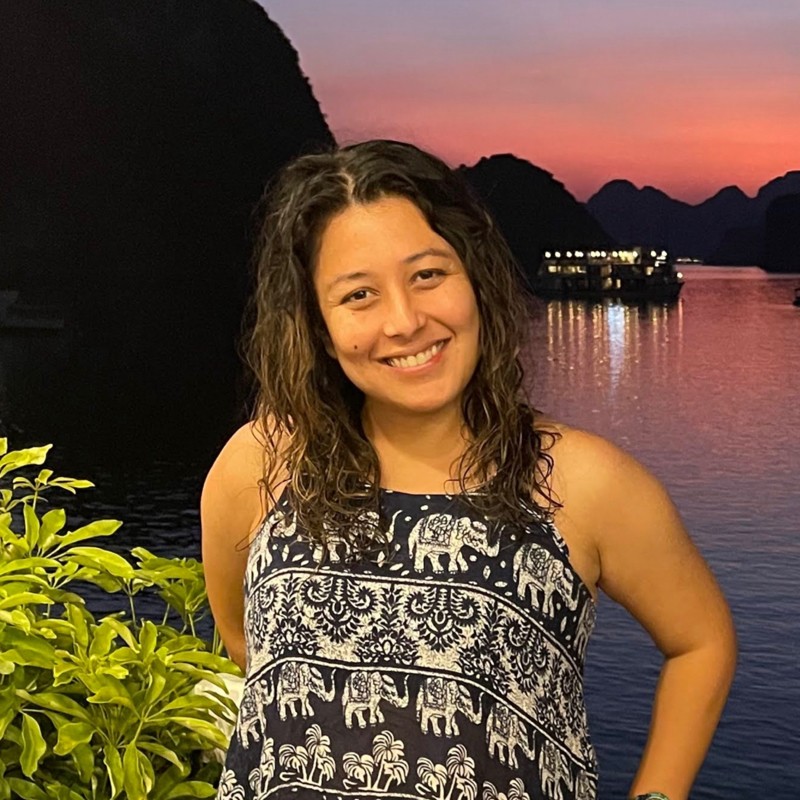 Investment Cycle I - PSV